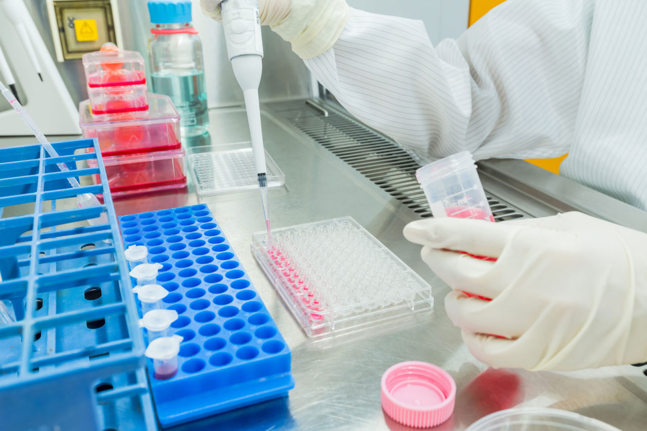 STATLIA MATRIX Assay Setup